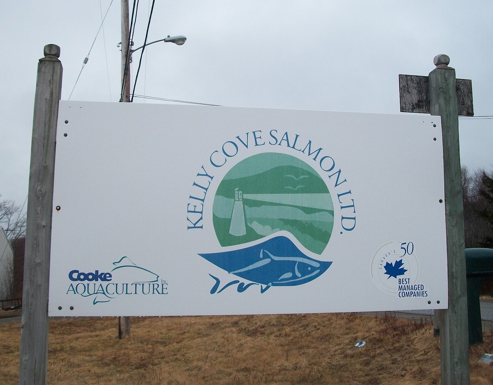 BREAKING: Cooke Aquaculture Confirms Salmon Virus Scare | Country 100.7