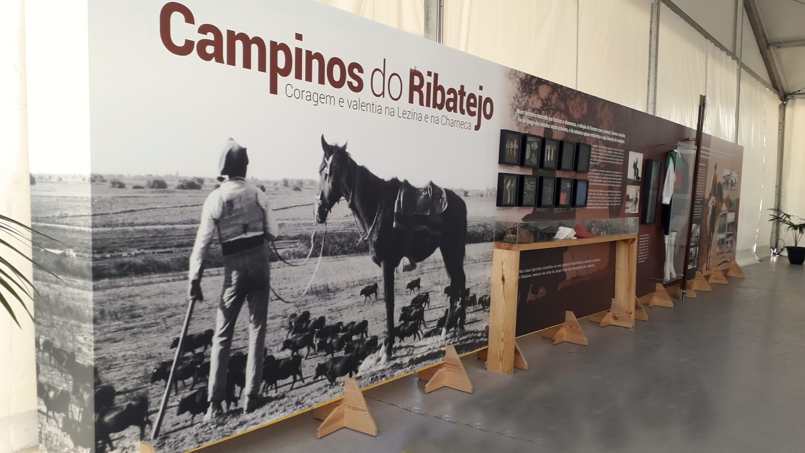 CAMPINOS DO RIBATEJO, Património Cultural Imaterial