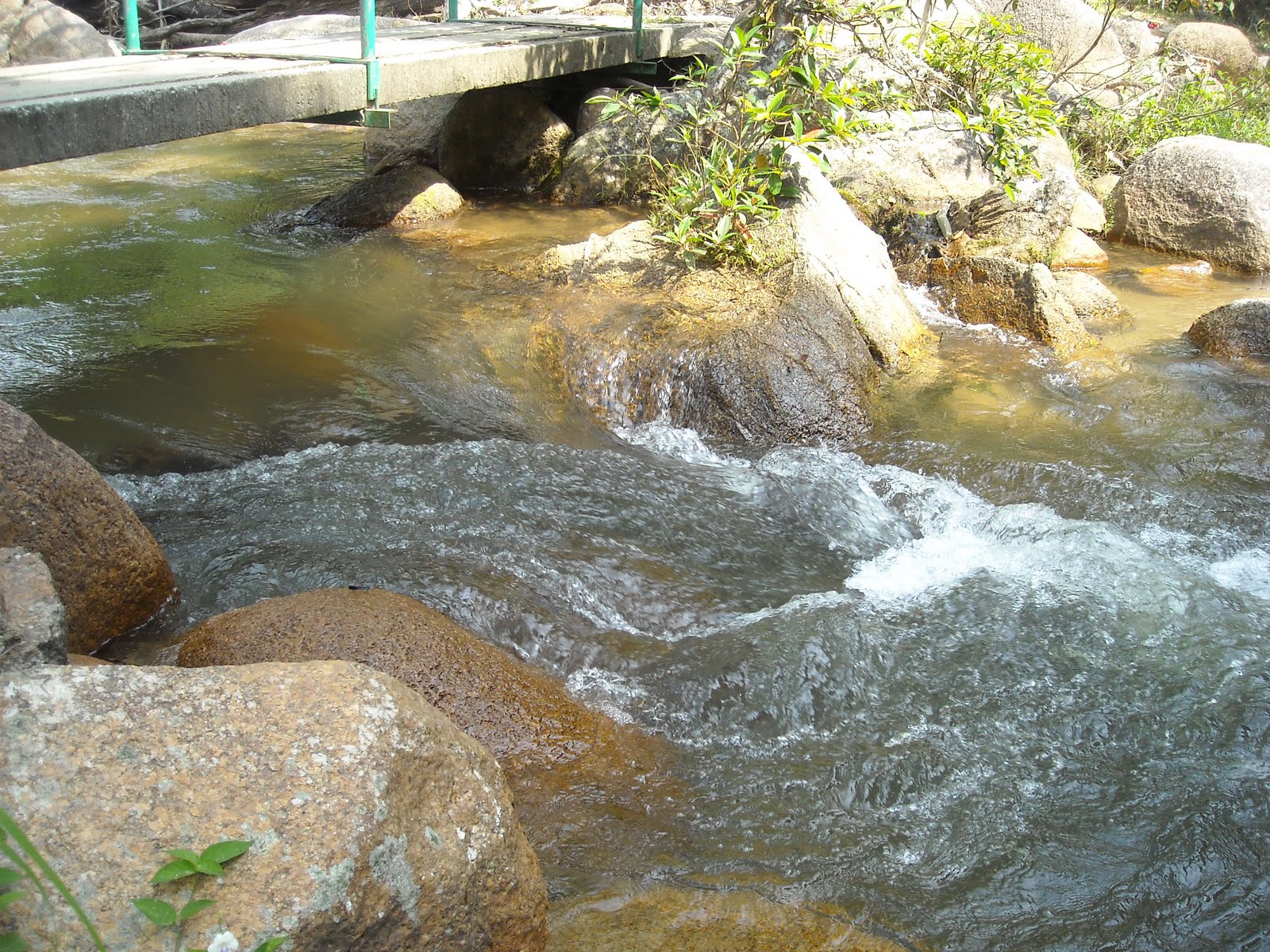 Nota Cikgu Shikin: Pulau Chekas, Raub, Pahang