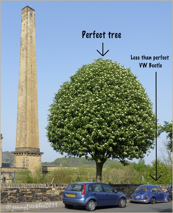 Saltaire Daily Photo: Not so perfect...