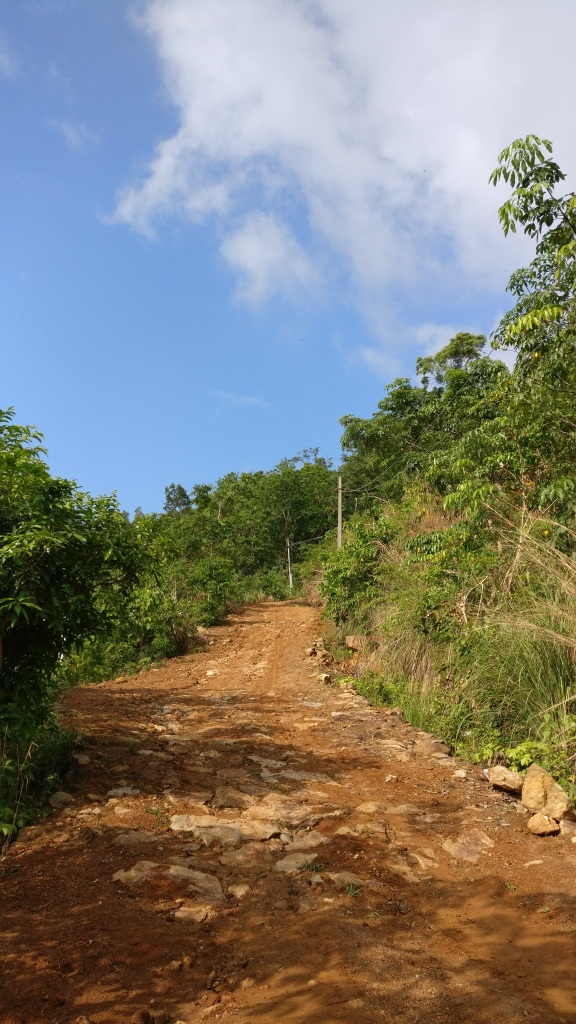 Tamilnadu Tourism: Kalimala Durgadevi Temple, Pathukani, Kanyakumari