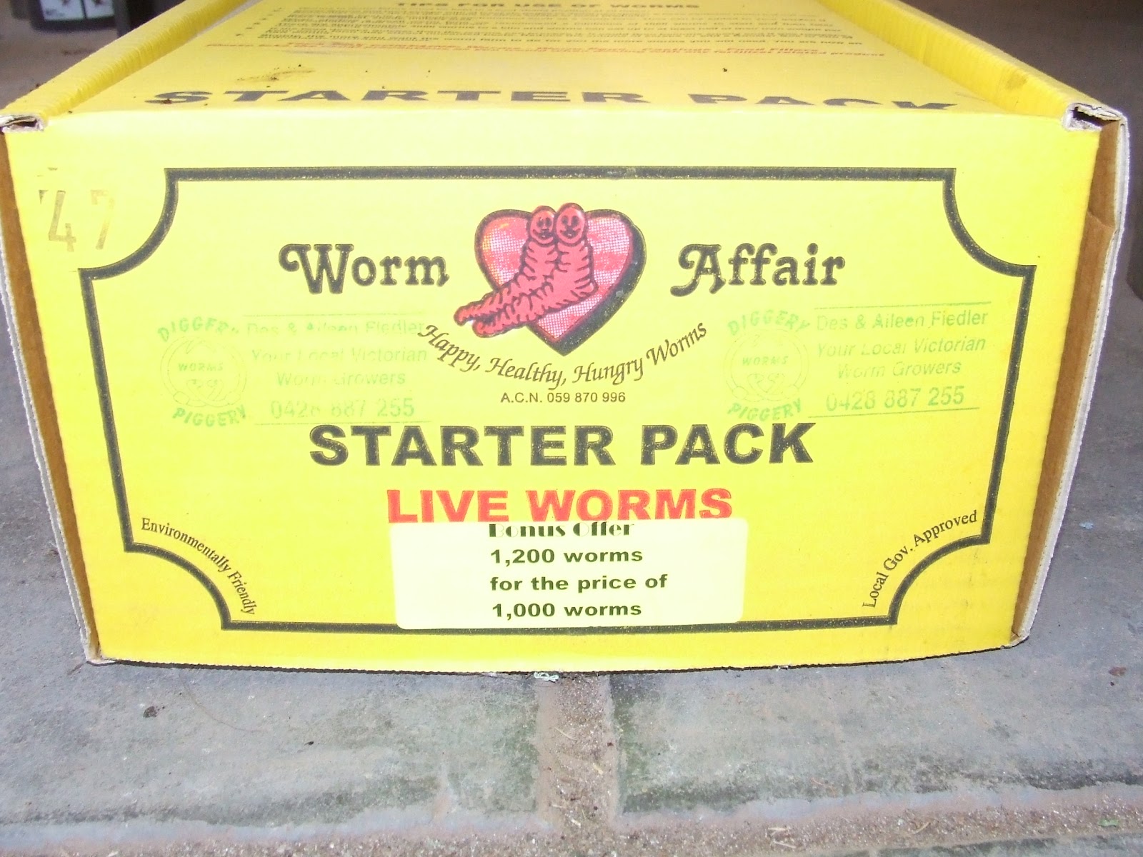 Worm Farm Workshop - The Greening of Gavin