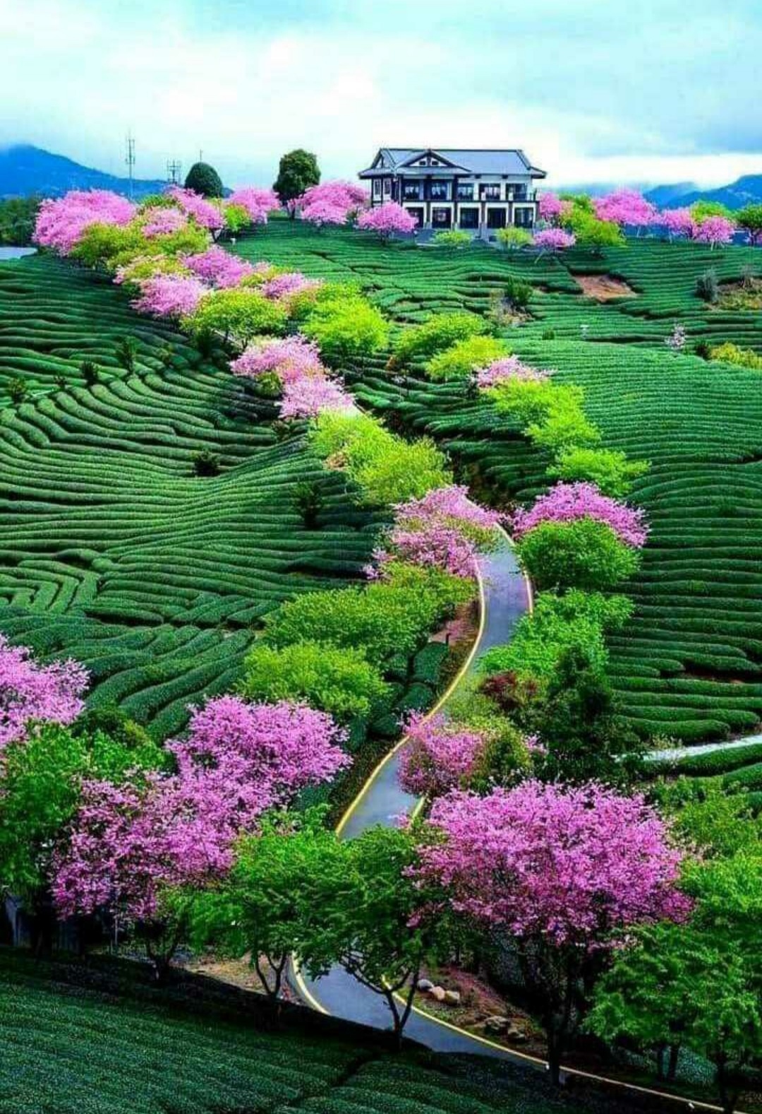 Beautiful Nature Images Download | सुंदर निसर्ग फोटो डाउनलोड