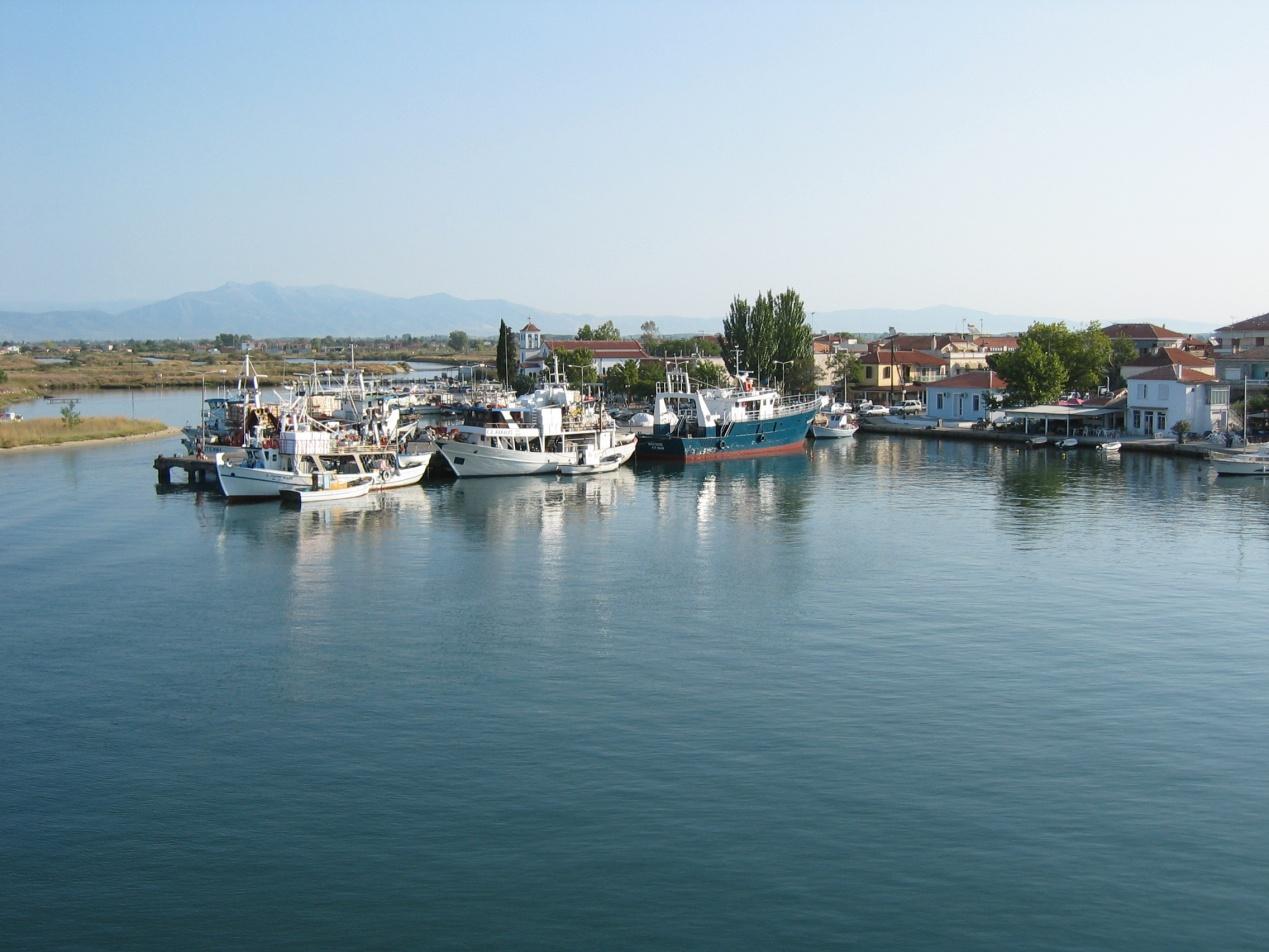 ΨΑΡΟΤΑΒΕΡΝΑ Η ΦΑΝΗ