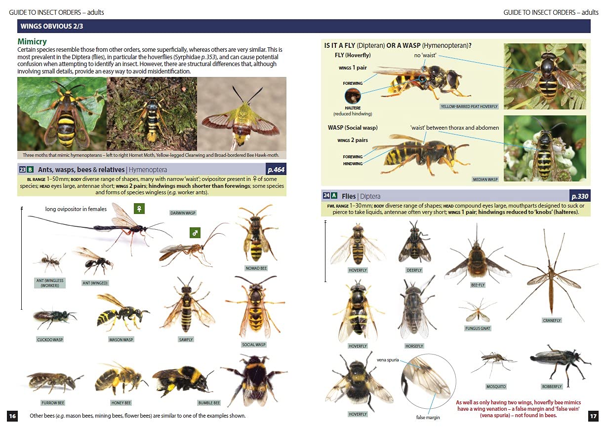 Shropshire Birder: Book Review - Britain's Insects Wildguides