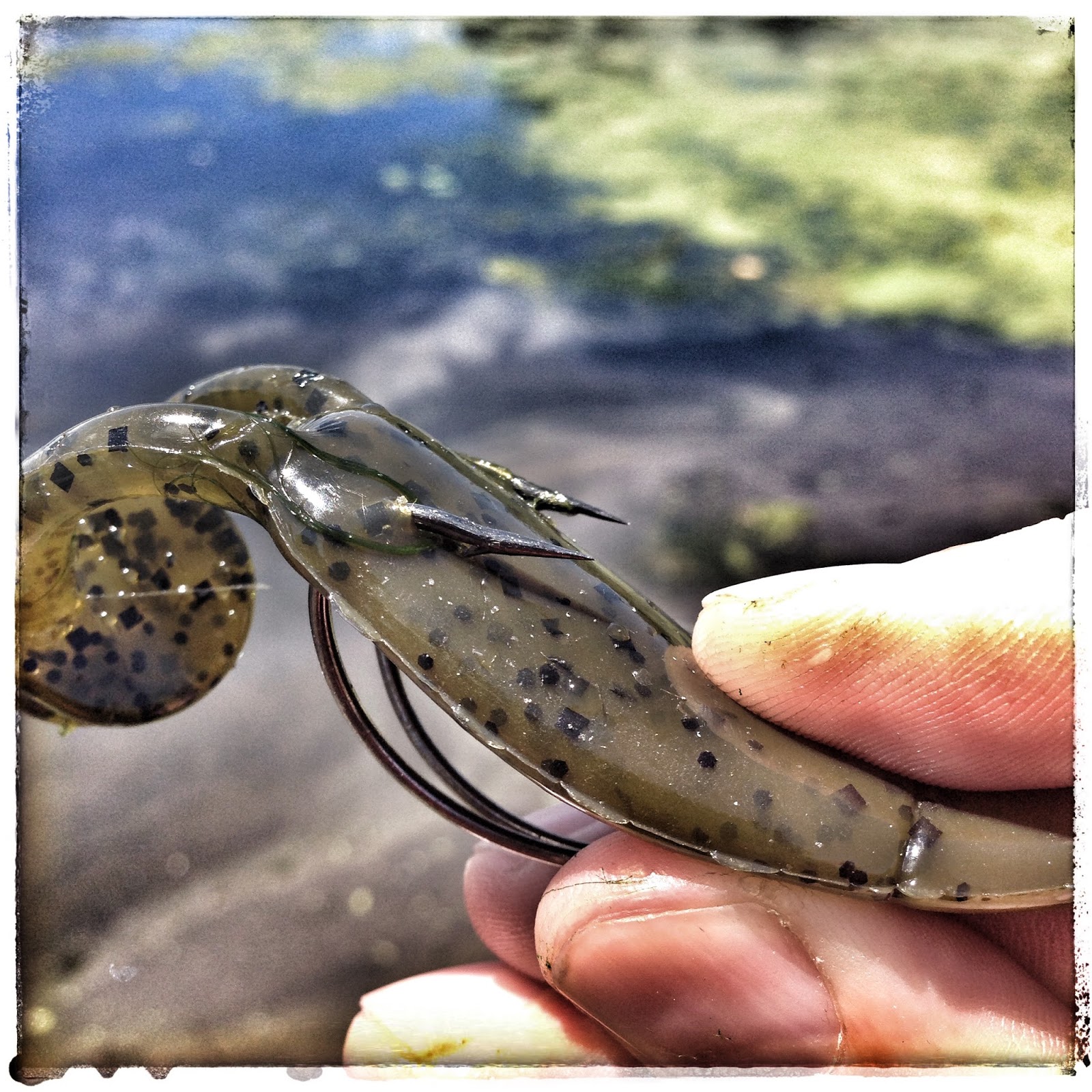 Bass Junkies Frog Pond: Luck-E-Strike Frantic Frog Review