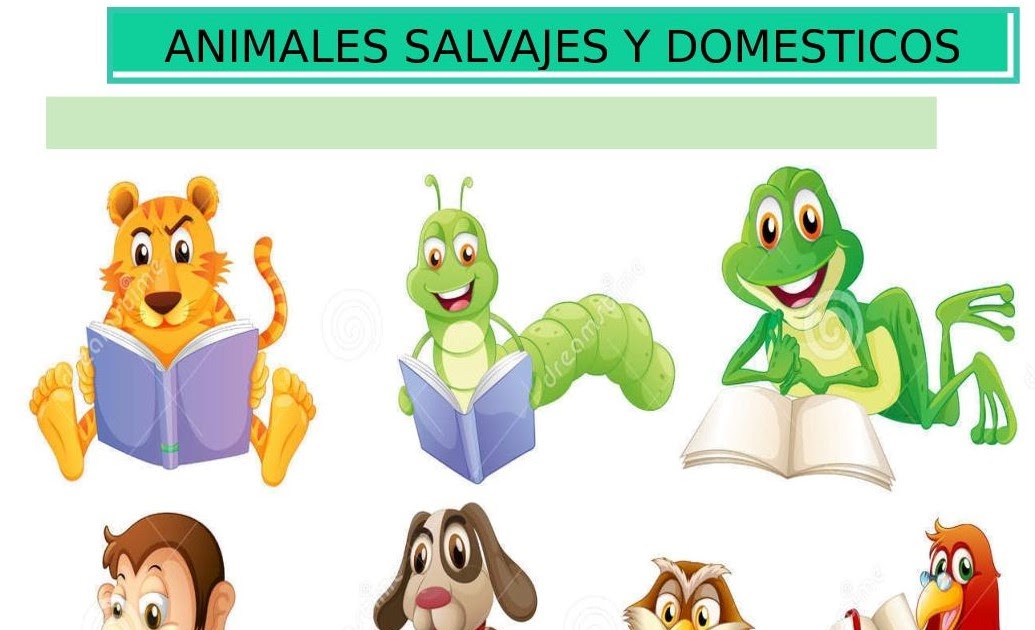 Escuela Infantil San Rafael: UNIDAD DIDÁCTICA: LOS ANIMALES