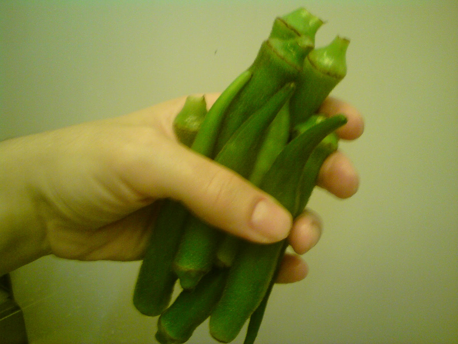 Conexão Gastronomia: Amado e Odiado Sr. Quiabo!