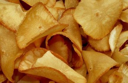 Aneka Keripik Dan Kue: jenis jenis kripik