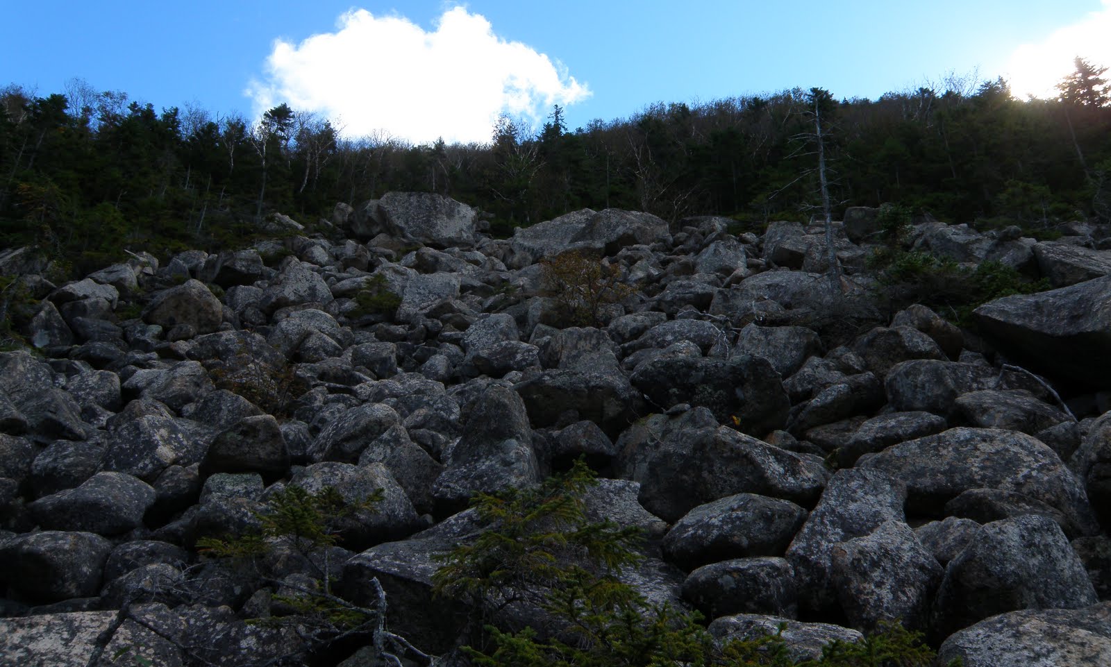 JustJoe Hiking: Western Slope of Agony Ridge Talus Field 9/16/12