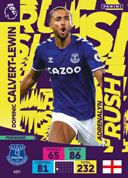 Trading Card Hub.UK: Panini Adrenalyn XL Premier League Plus 2020-2021 ...