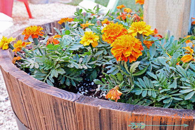 DIY Patio Area with Texas Lamp Posts | i should be mopping the floor