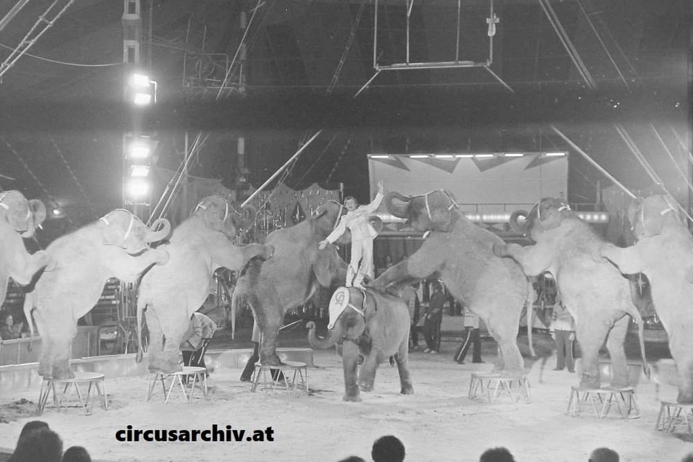 CIRCUS CARL ALTHOFF (D): Immagini dagli anni '70 | SCXS
