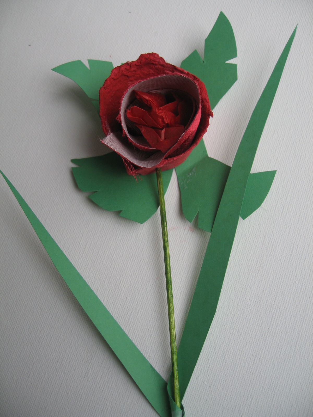 Craft With Jack Rose Stem craft-with-jack-rose-stem