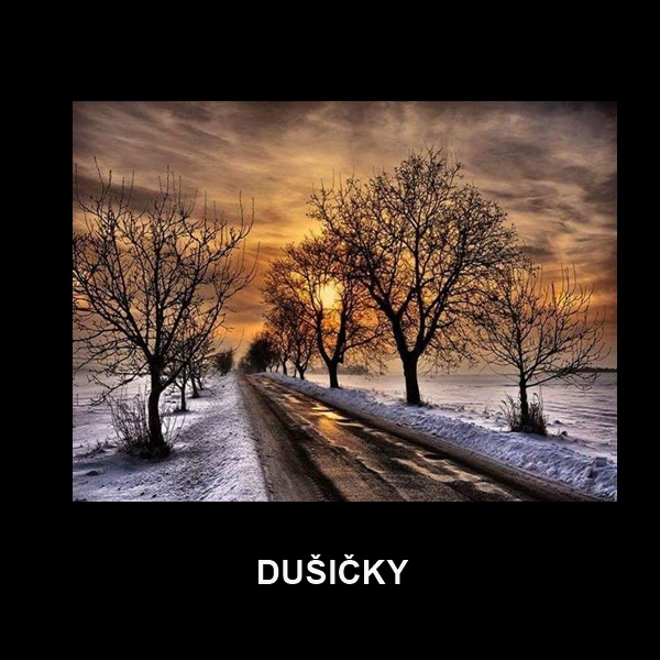 SEDMIKRÁSKA - OBRÁZKY: OBRÁZKY - DUŠIČKY