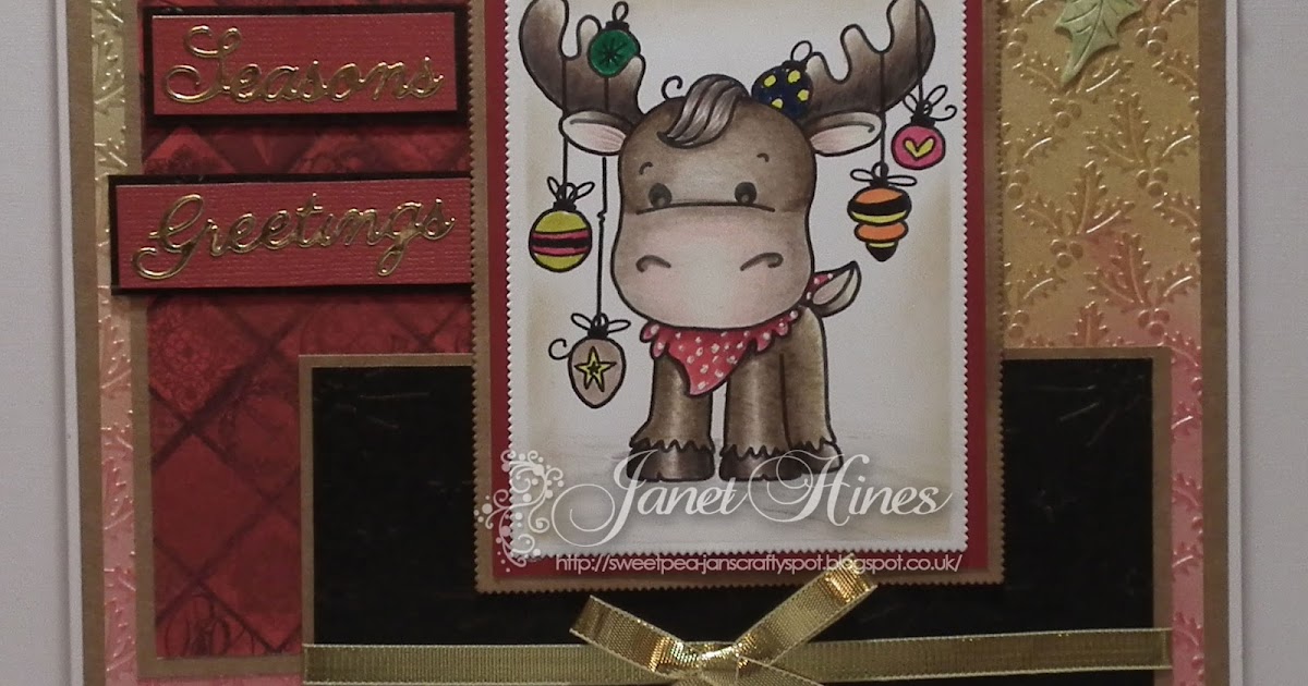 Welcome: Super Moose