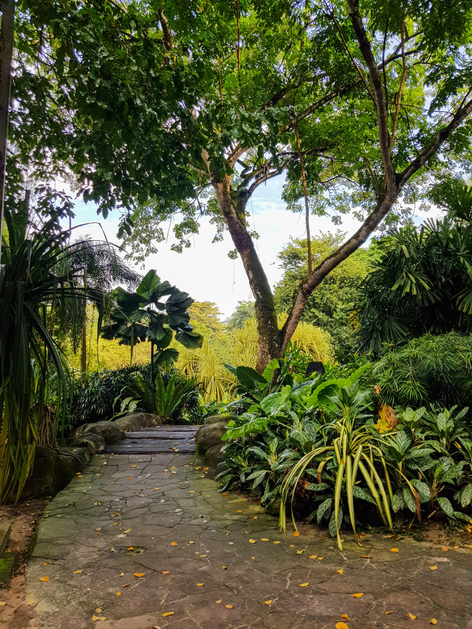 PERDANA BOTANICAL GARDEN KUALA LUMPUR