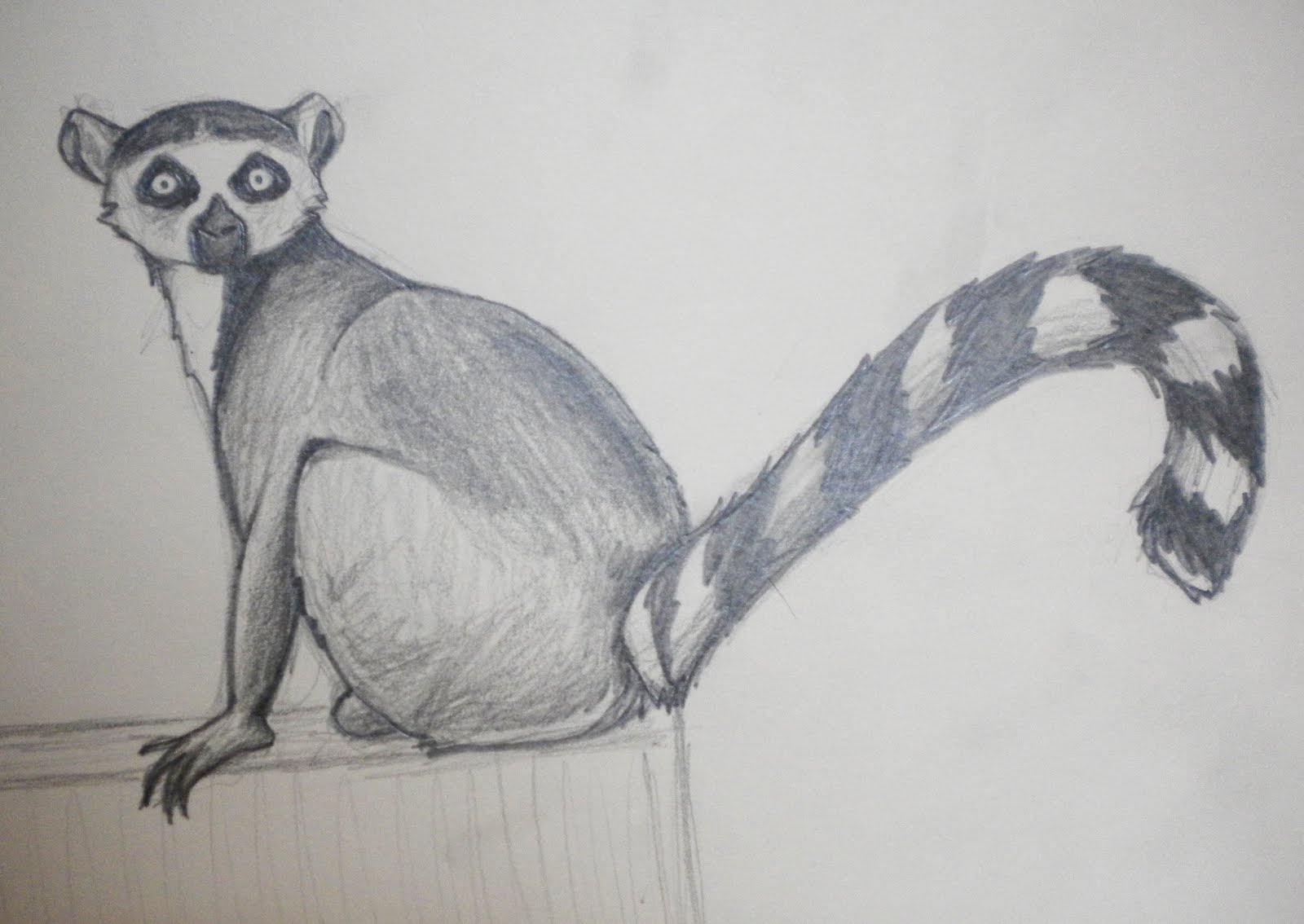 Pointsies: Lemur Doodle