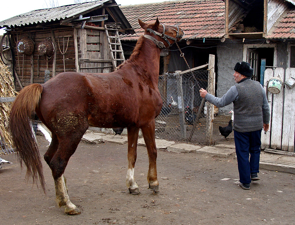 PHOTO ODYSSEY OF RICHARD: Countryside portraits