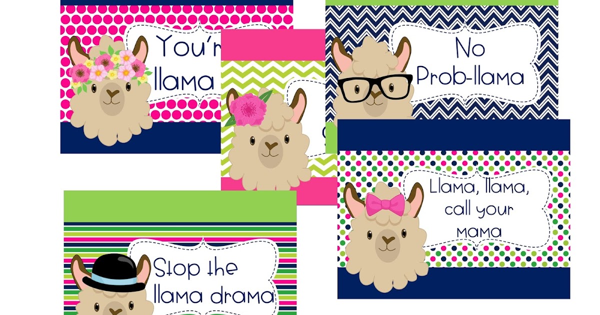 My Teacher Sleeps in School: Tales of a 3rd & 4th Grade Teachaholic ...