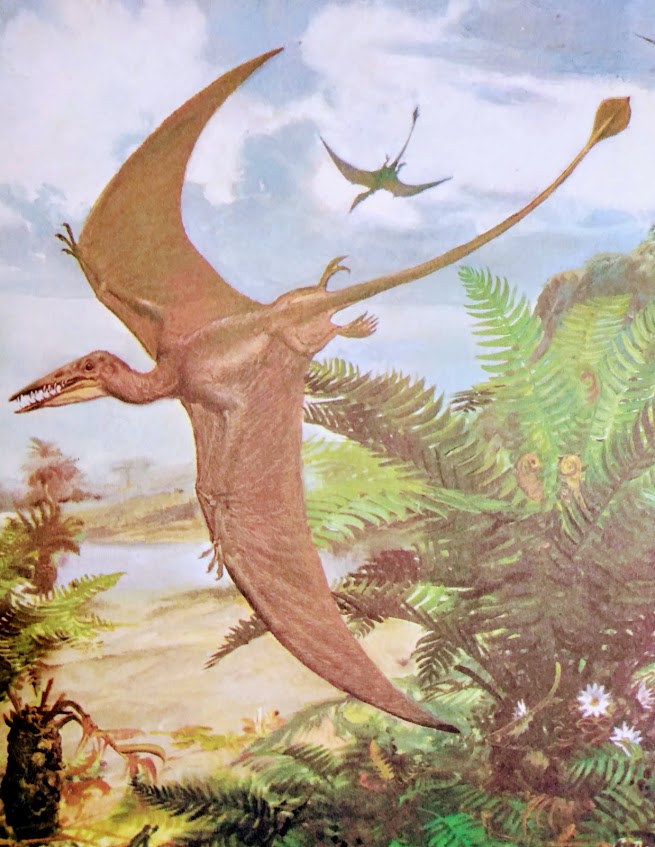 VERSI IN VOLO: IL TEMPO DELLA DIPLODOCO di RENATA RUSCA ZARGAR