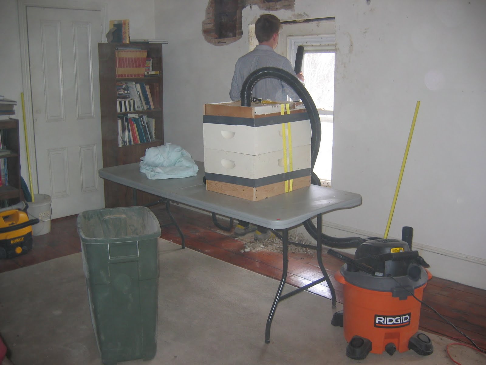 For The Time Beeing: Bee Removal at Oakland Cemetery