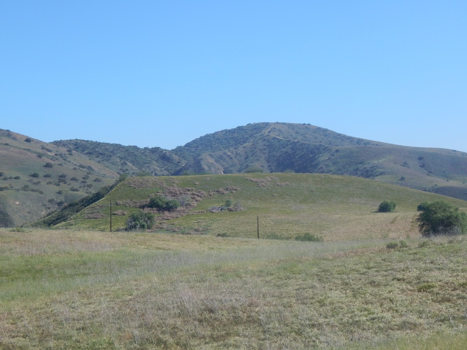 Carbon Canyon Chronicle: A Trek Through Chino Hills State Park