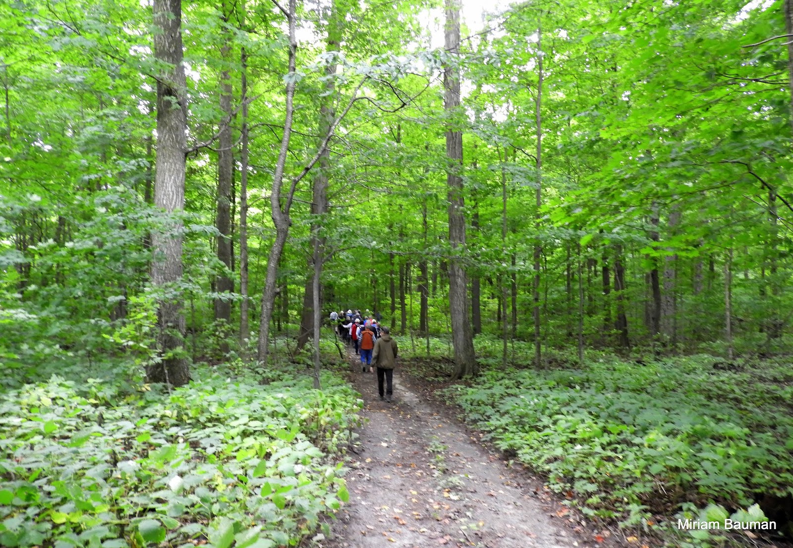 Annual Visit of Waterloo Region Nature to SpruceHaven - Travels With Birds