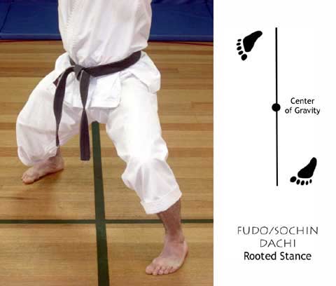 JKA NIKKEY ASSOCIACAO ARAPONGUENSE: Posições - Dachi e Golpes (Tecnicas ...