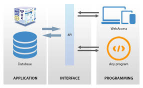 Cara Menggunakan API beserta Fetch di dalam Web Sederhana - Edukeun