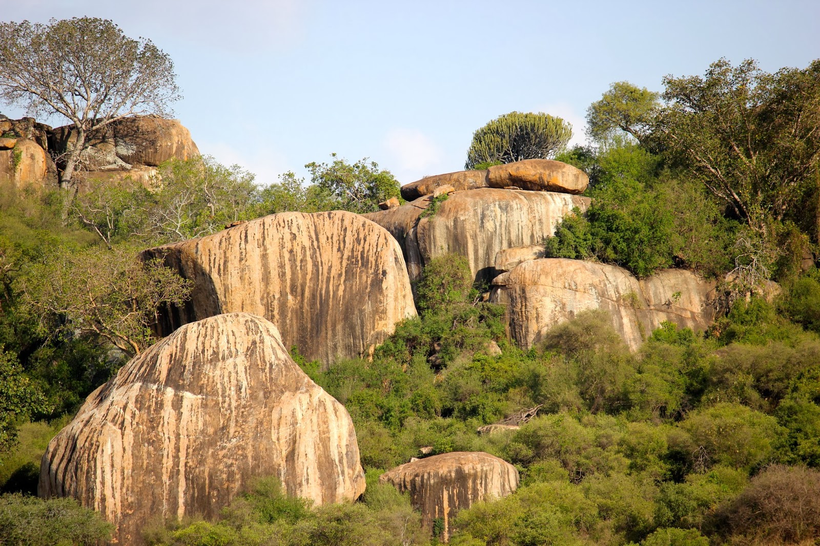 The Essence of Tanzania: Serengeti Finale