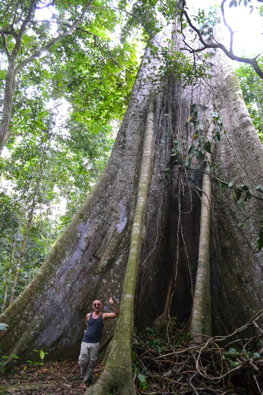 Guyane : un week-end randonnée à Saül. - Les rêveries d'Isisya