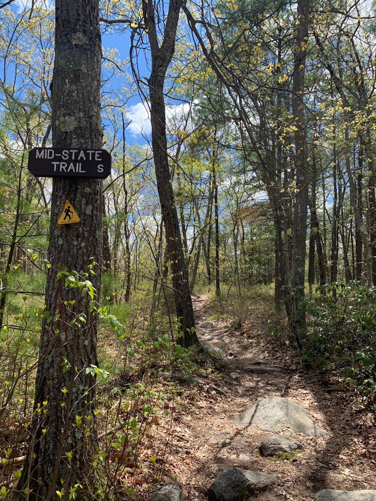 JCXC: Midstate Trail Section Hiking: Route 16 Douglas to Southern ...