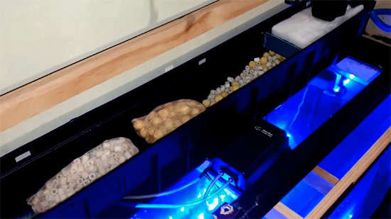 DIY Aquarium Filter - Setup Filter Media