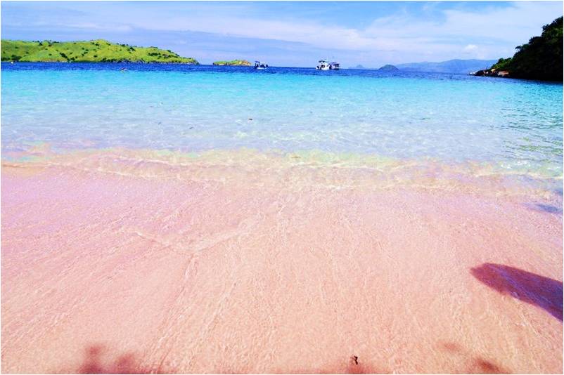 Pantai Merah (Pink Beach) | Lunotransflores