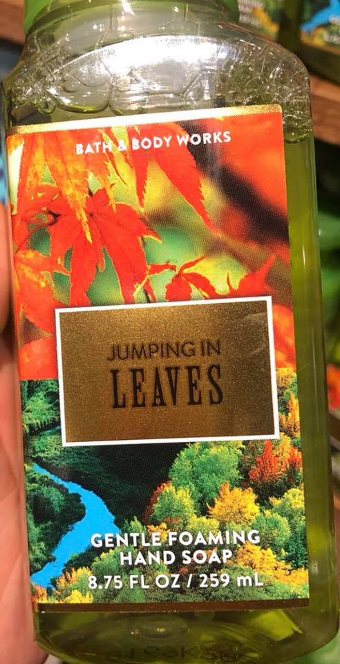 Life Inside the Page: Bath & Body Works | Fall Hand Soap Collections ...