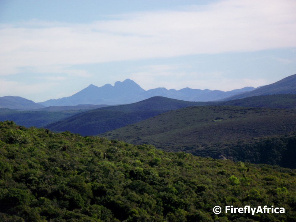 Port Elizabeth Daily Photo: Cockscomb mountain