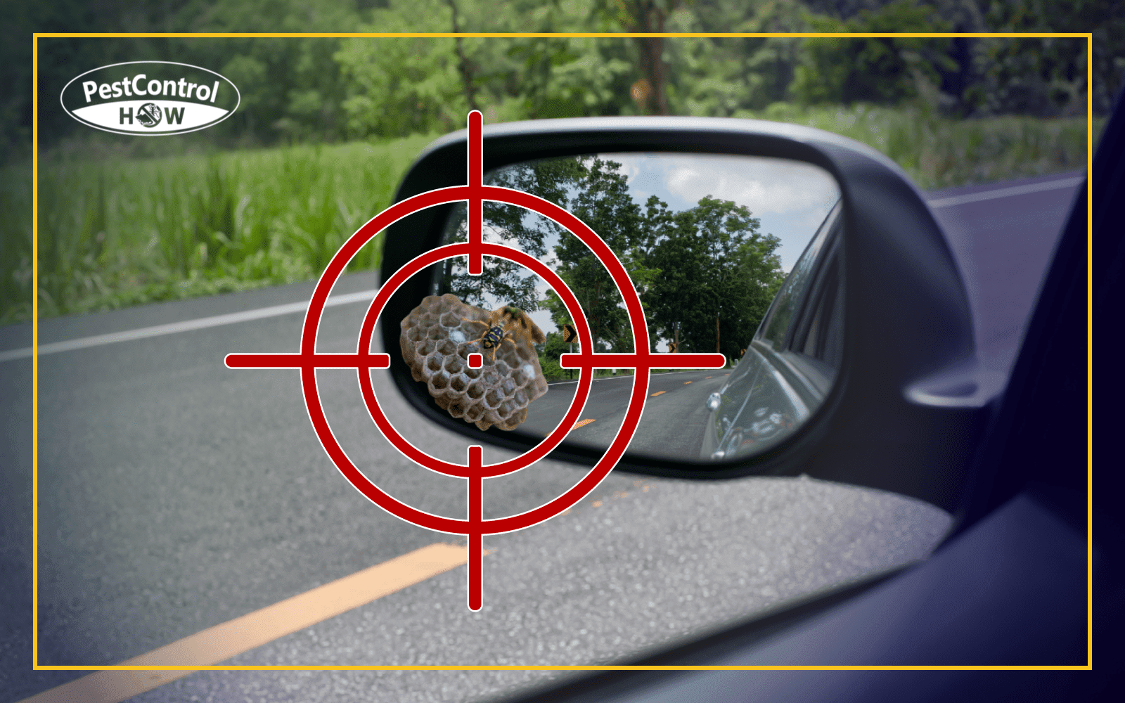 How To Get Rid Of Wasp Nest In Car Mirror Solved And Explained how-to-get-rid-of-wasp-nest-in-car-mirror-solved-and-explained