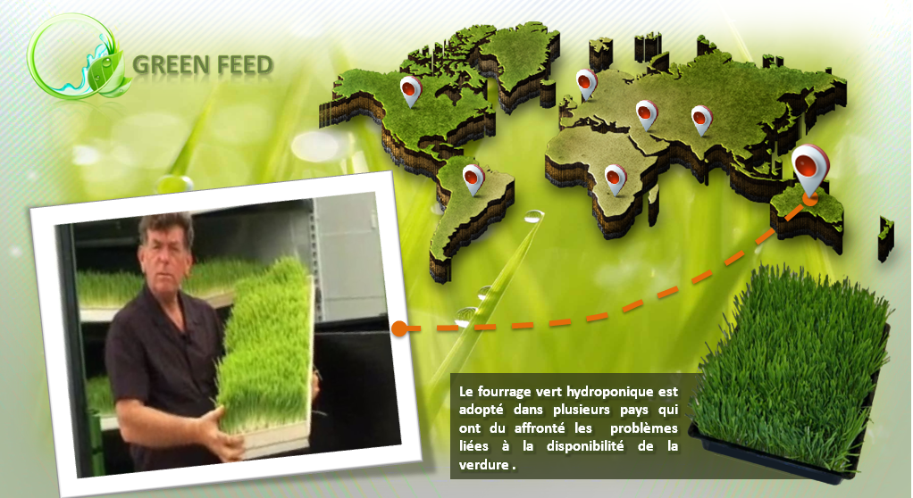 GREEN FEED TUNISIA: Le fourrage vert hydroponique dans le mande