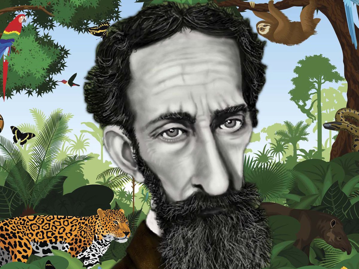 QUINTO GRADO: BIBLIOTECA: motivo Horacio Quiroga