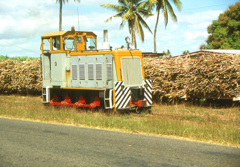 Virtual Railfan Tour - Fiji Sugar Cane Railway - The cane fields