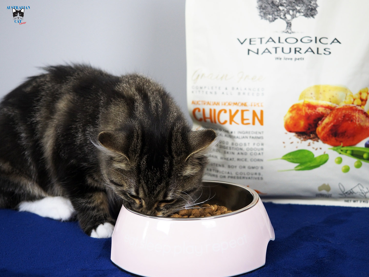 Vetalogica Naturals Grain-Free Chicken Kitten Food – Review ...