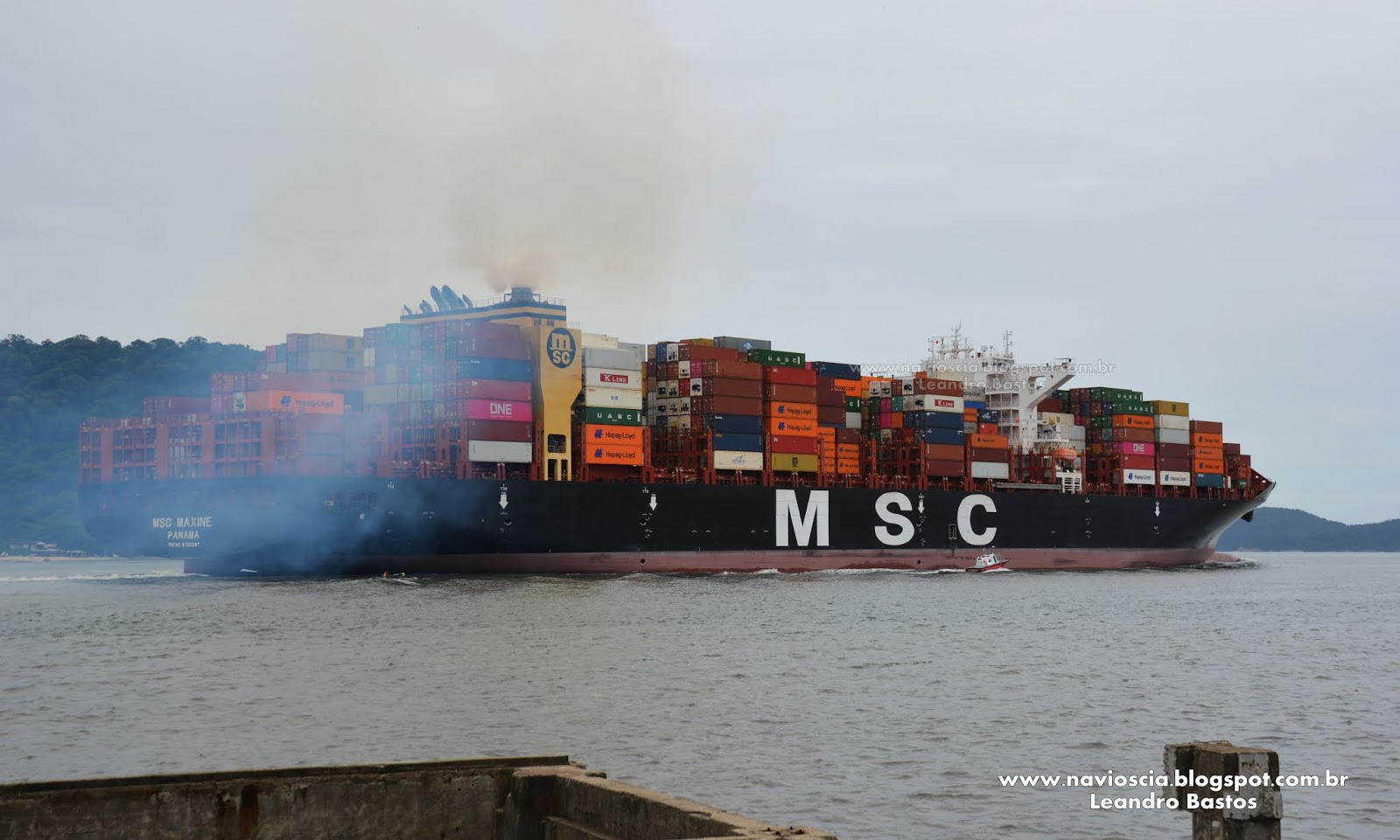 Navios de Santos & CIA: Navio MSC MAXINE