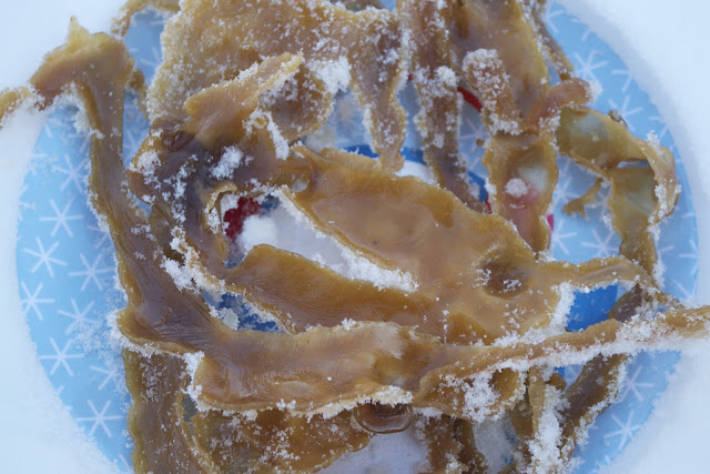 breezybyhand: Snow Day Adventures: Maple Syrup Snow Candy