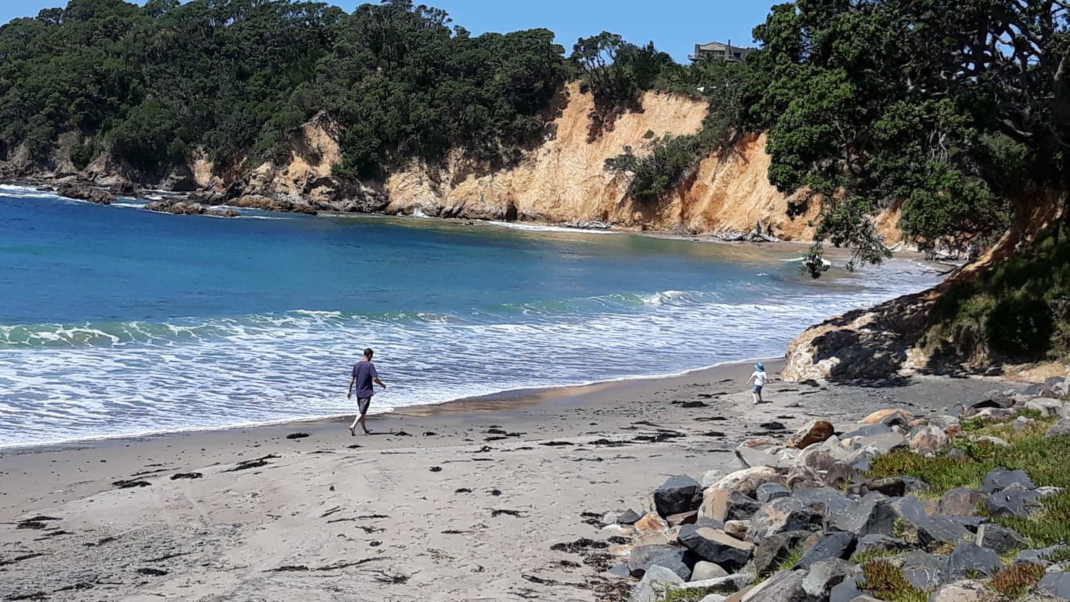 The Paddock: Taiharuru