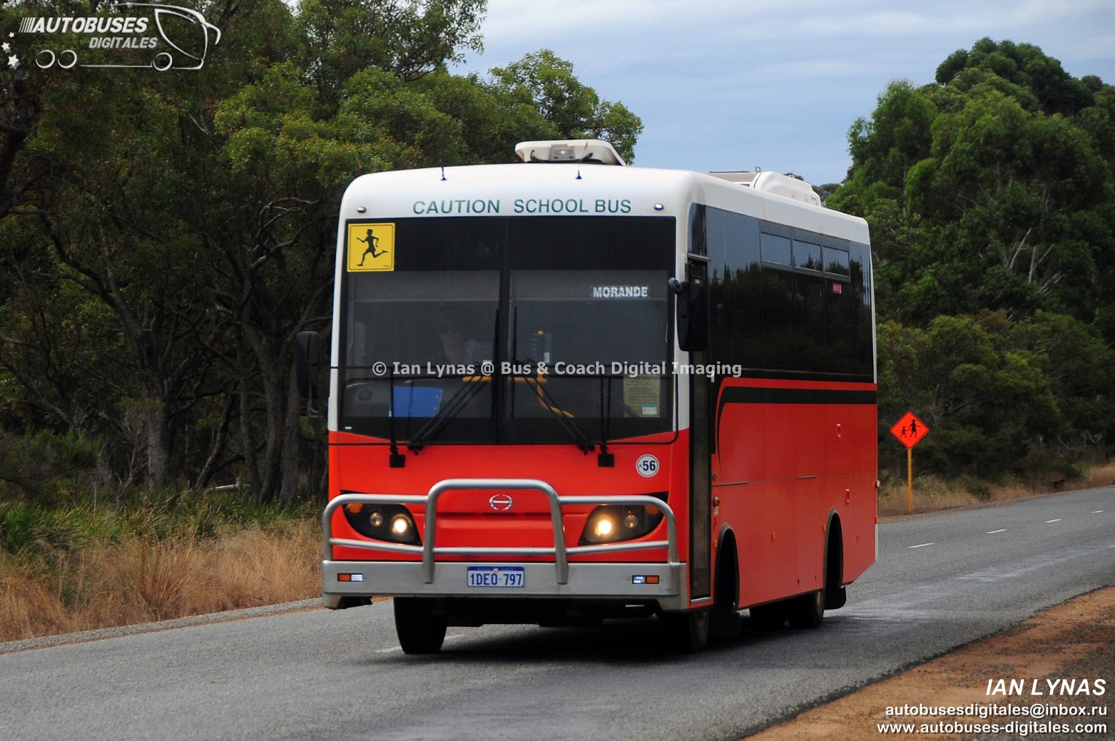 Autobuses en Accion: Australia | Buses in Action: Australia @ Autobuses ...