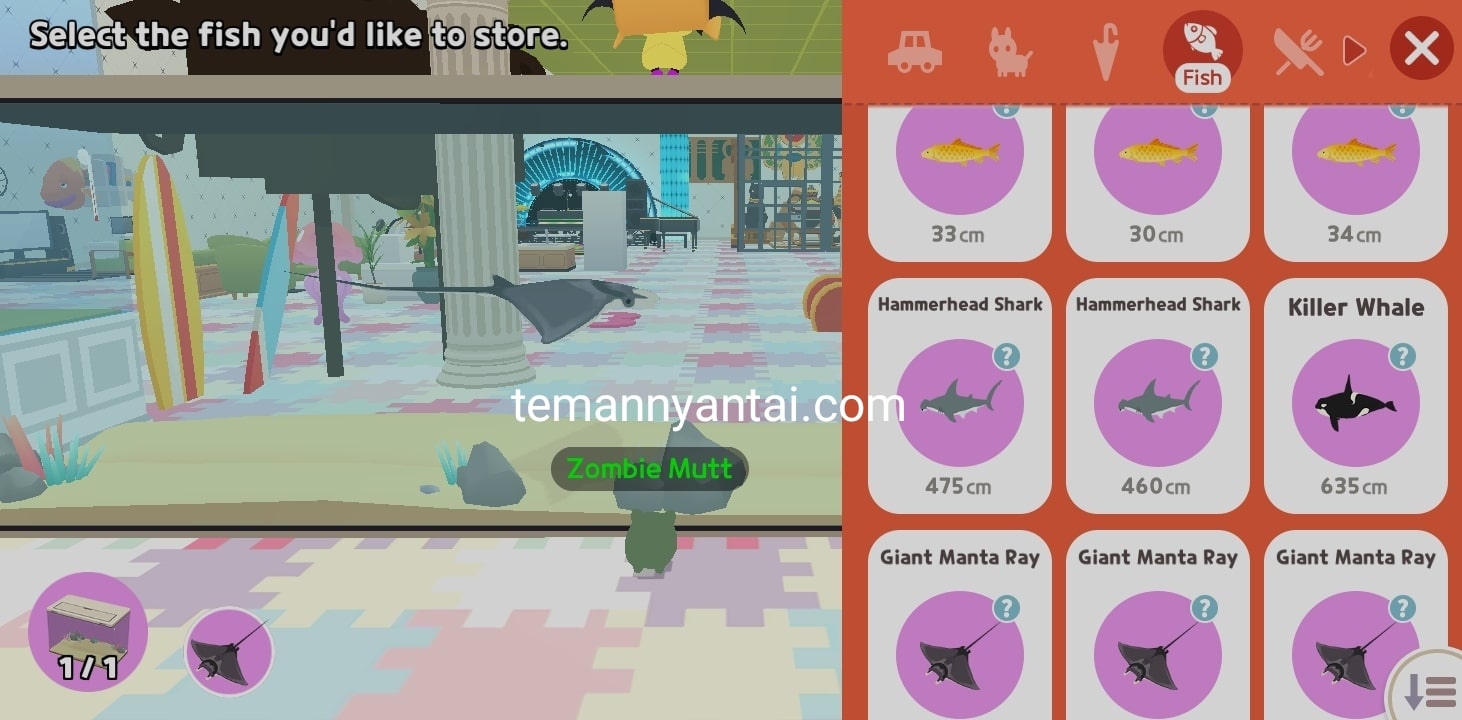 Play Together : Fish Tank Guide