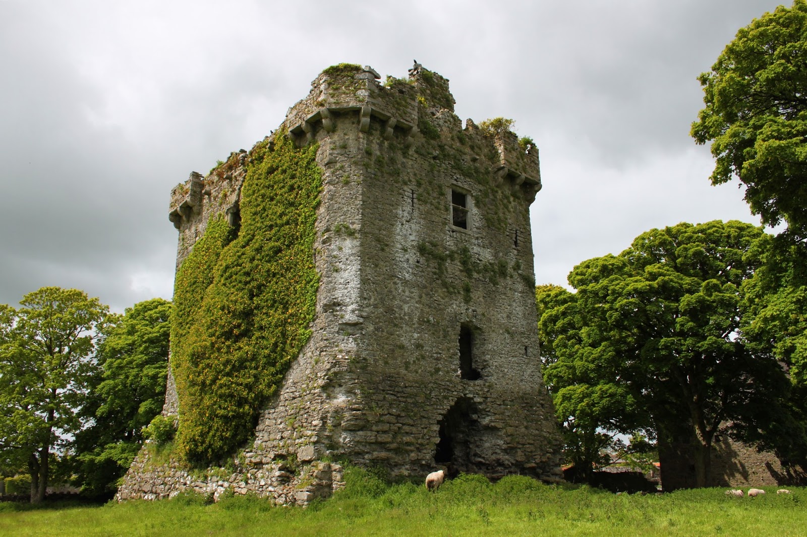 Historic Sites of Ireland: Shrule Castle