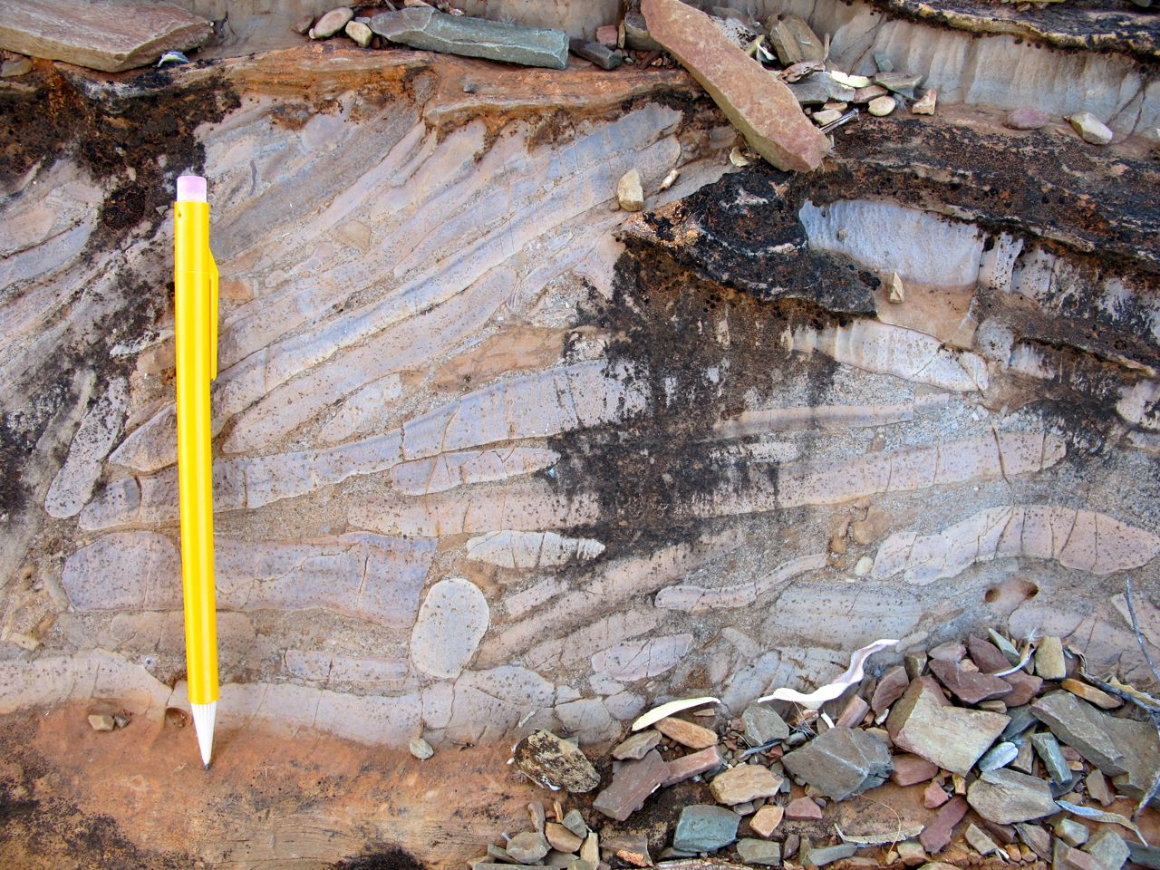 the road to Oz is paved with limestone: Sedimentary structures and stuff