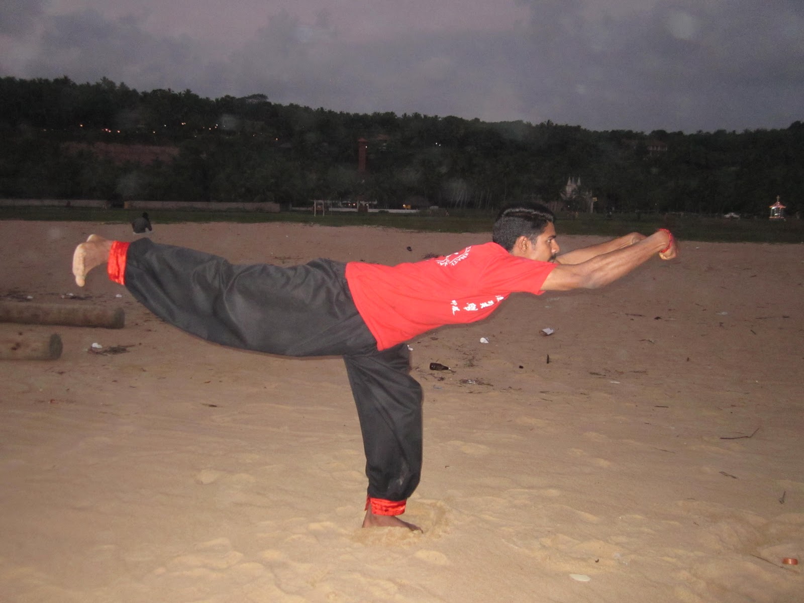 Mansuria Kung-Fu: Monkey Style